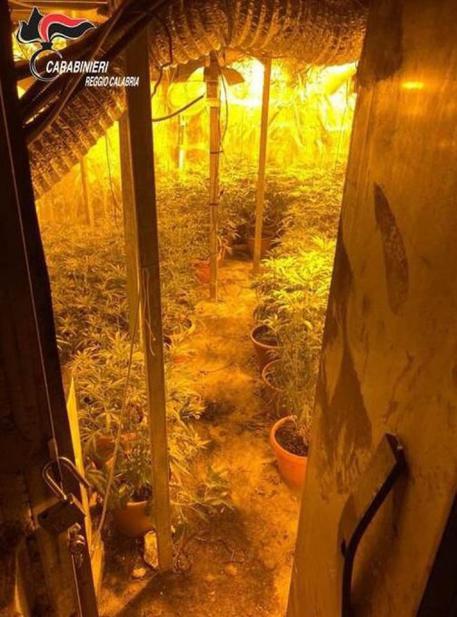 Un bunker per coltivare la marijuana, due arresti - Secondo Piano News